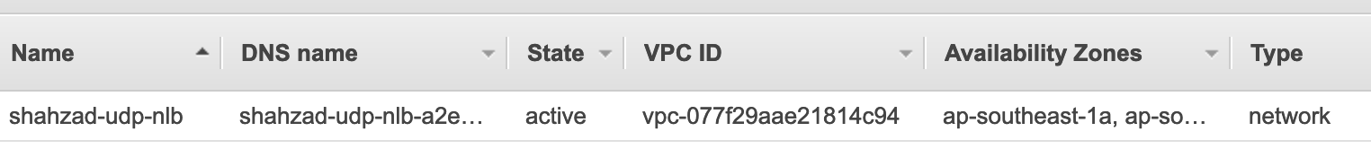Aviatrix User Vpn Deployment With Aws Udp Based Nlb Netjoints